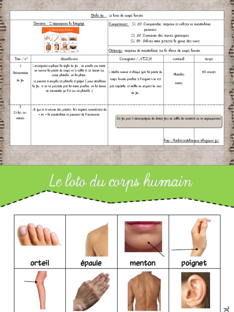 LCDL - Loto Du Corps Humain | PDF | Loisirs