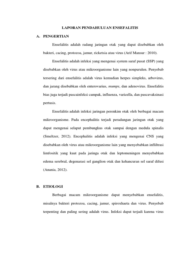 LP Ensefalitis | PDF