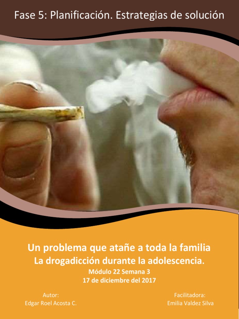 Actividad Integradora Estrategias de Solución M22S3A5 | PDF | La dependencia de sustancias ...