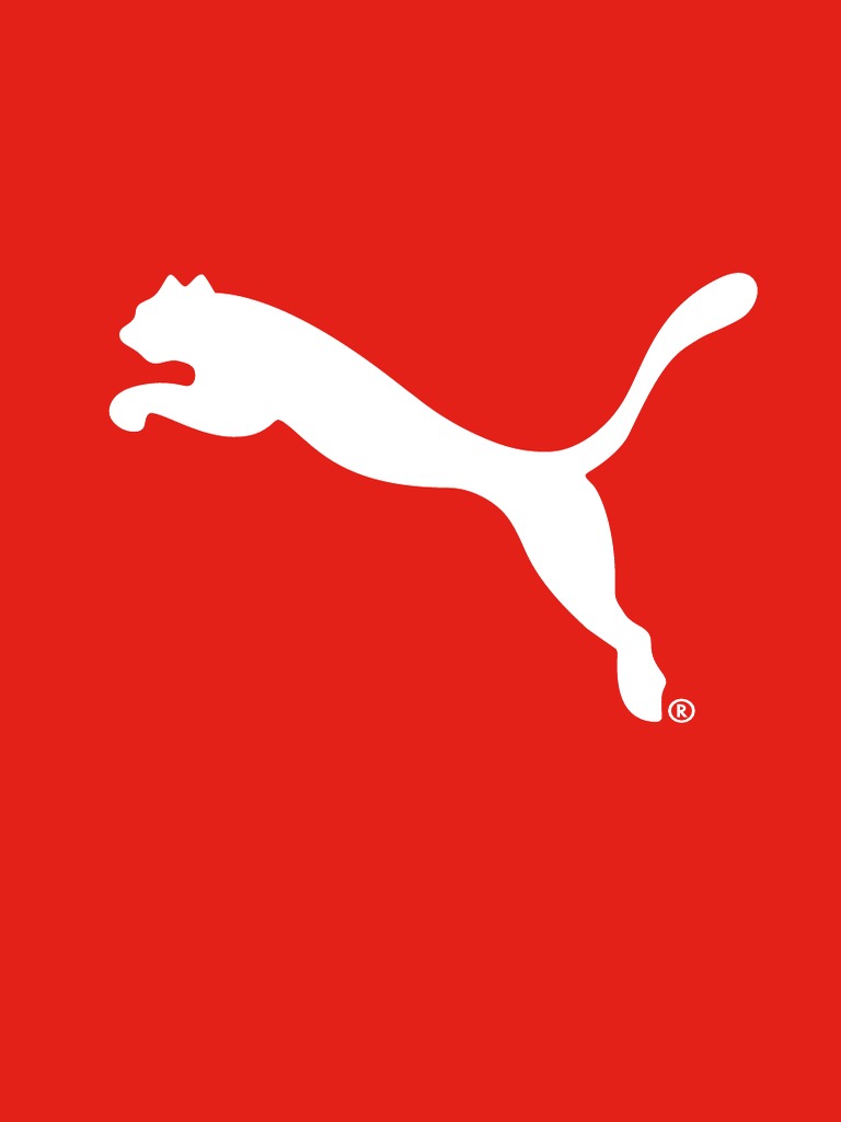 Puma FAAS 200 Watch | PDF | Home Automation | Building Automation