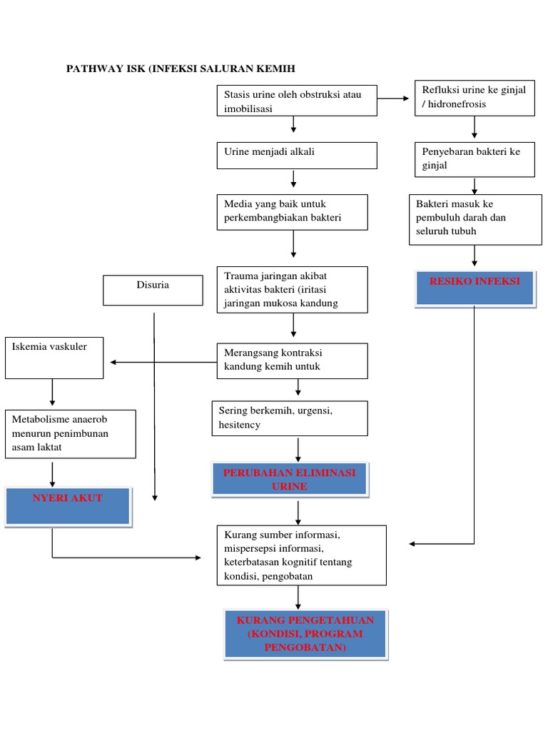 Pathway Patofisiologi ISK pada Anak | PDF