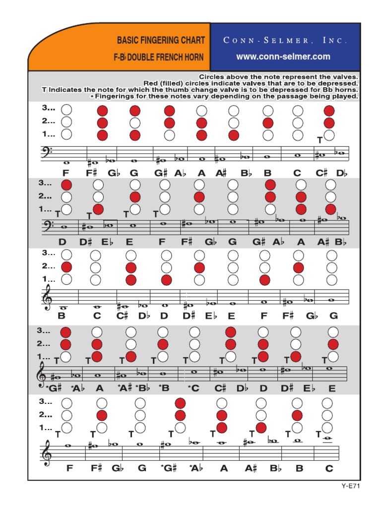 A Concise Guide to Standard Fingerings for the Double French Horn | PDF