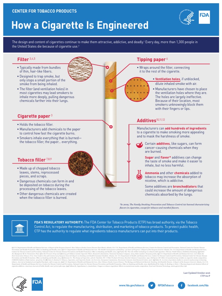 Ingredients in Cigarettes Explained | PDF | Cigarette | Tobacco