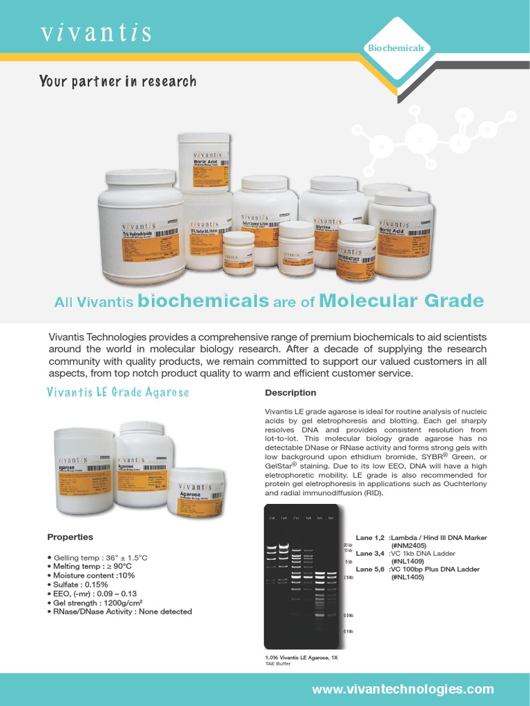 Biochemicals Flyer Vivantis PC0701-100G | PDF | Agarose Gel ...
