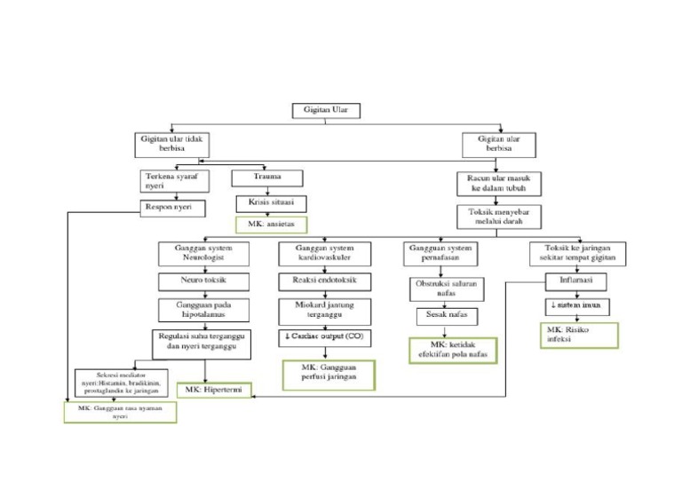 Pathway Snake Bite | PDF