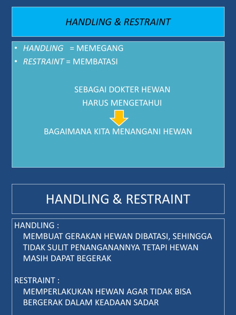 10.handling & Restraint | PDF