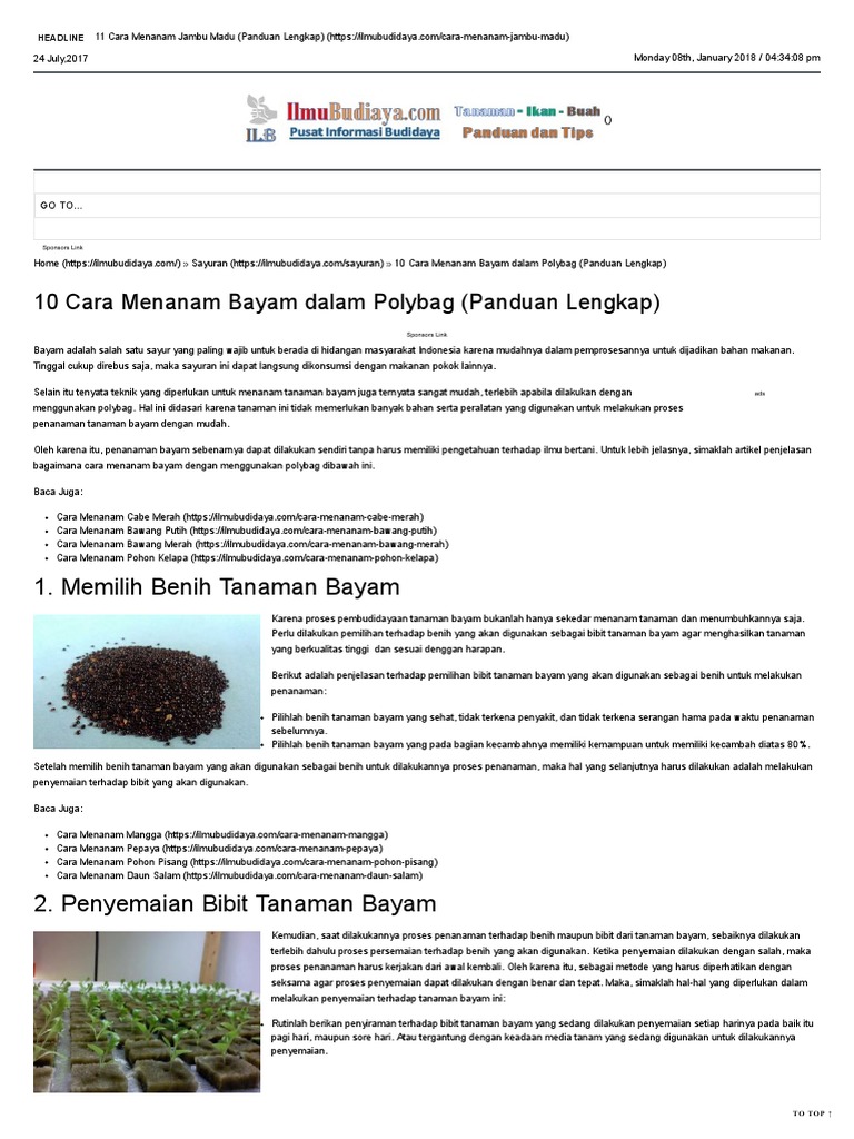 10 Cara Menanam Bayam Dalam Polybag (Panduan Lengkap) - IlmuBudidaya | PDF