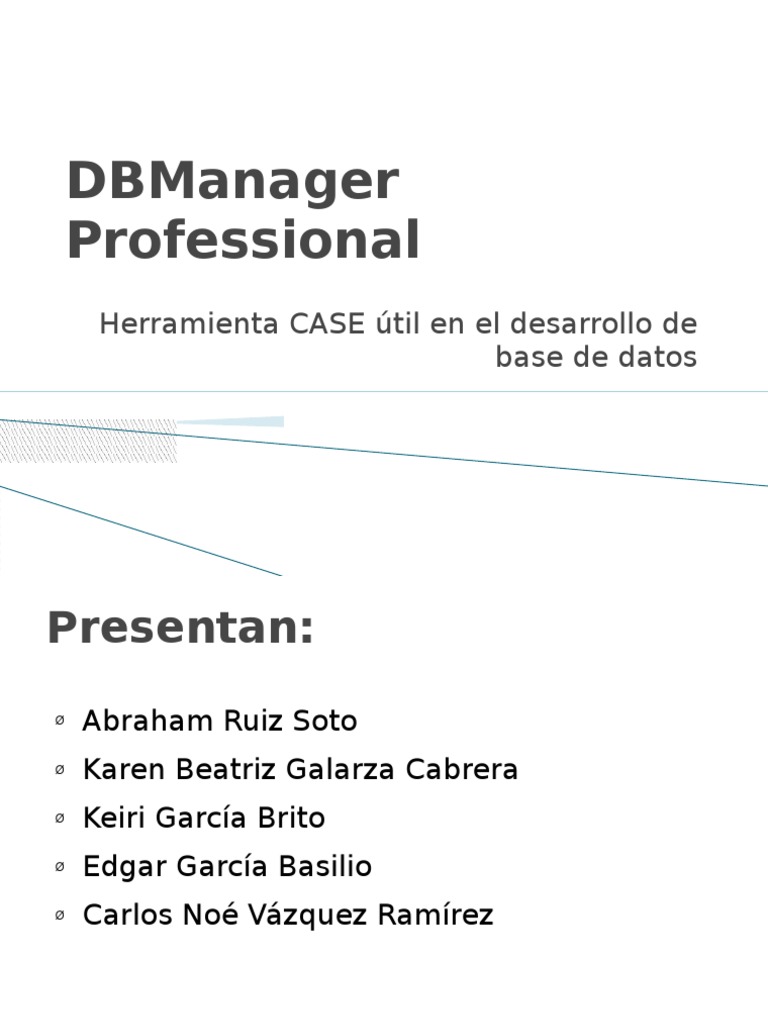 DBManager Professional - Caracteristicas | PDF | Servidor SQL de Microsoft | Gestión de datos