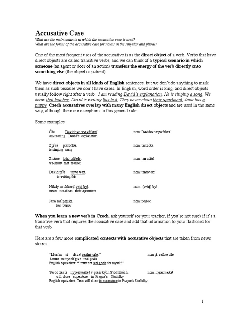 Accusative | PDF | Grammatical Gender | Object (Grammar)