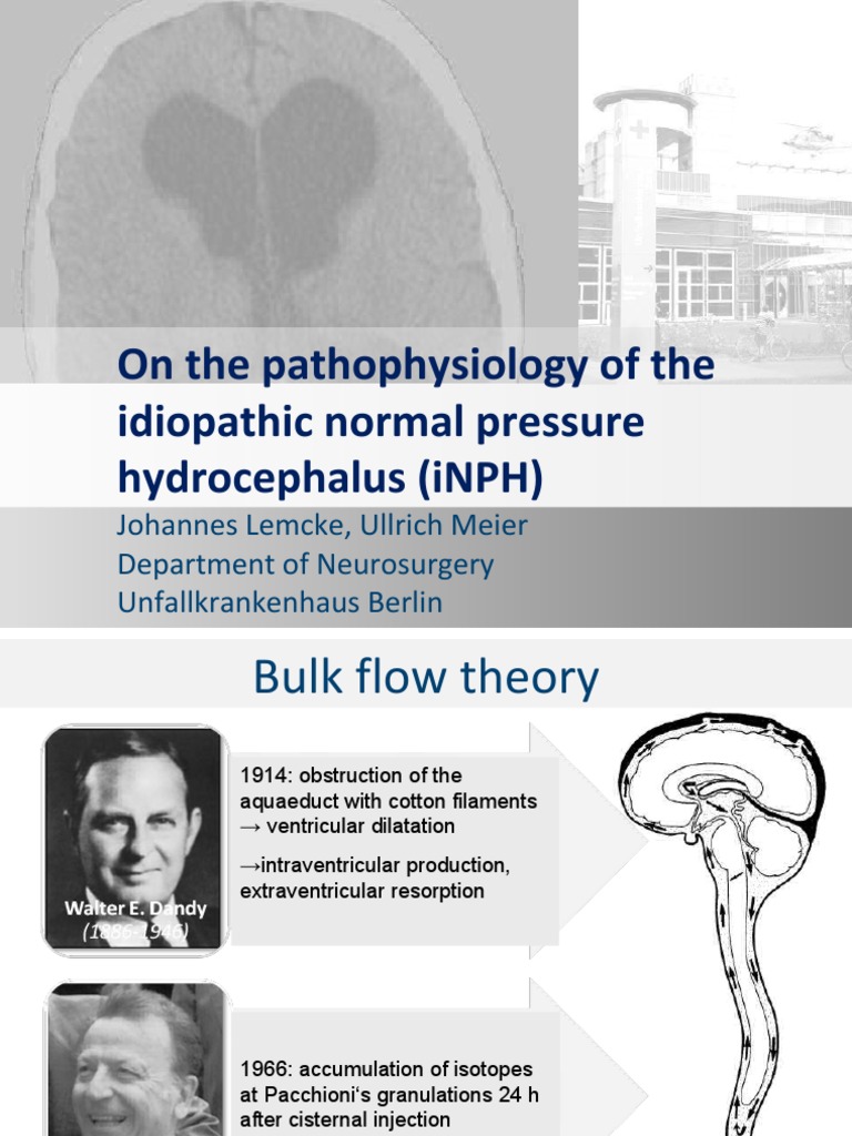 On The Pathophysiology of The Idiopathic Normal Pressure Hydrocephalus ...
