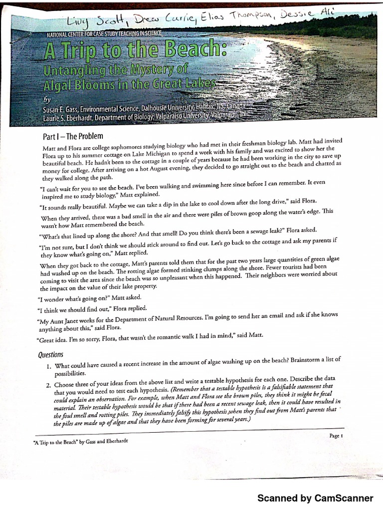 A Trip To The Beach: Untangling The Mystery of Algal Blooms in The ...