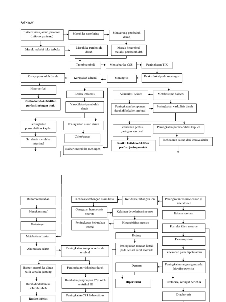 Pathway Meningitis | PDF