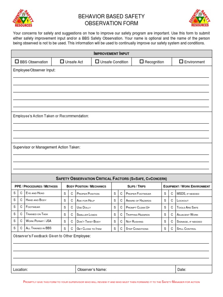 GS 3004 BBS Observation Form | PDF