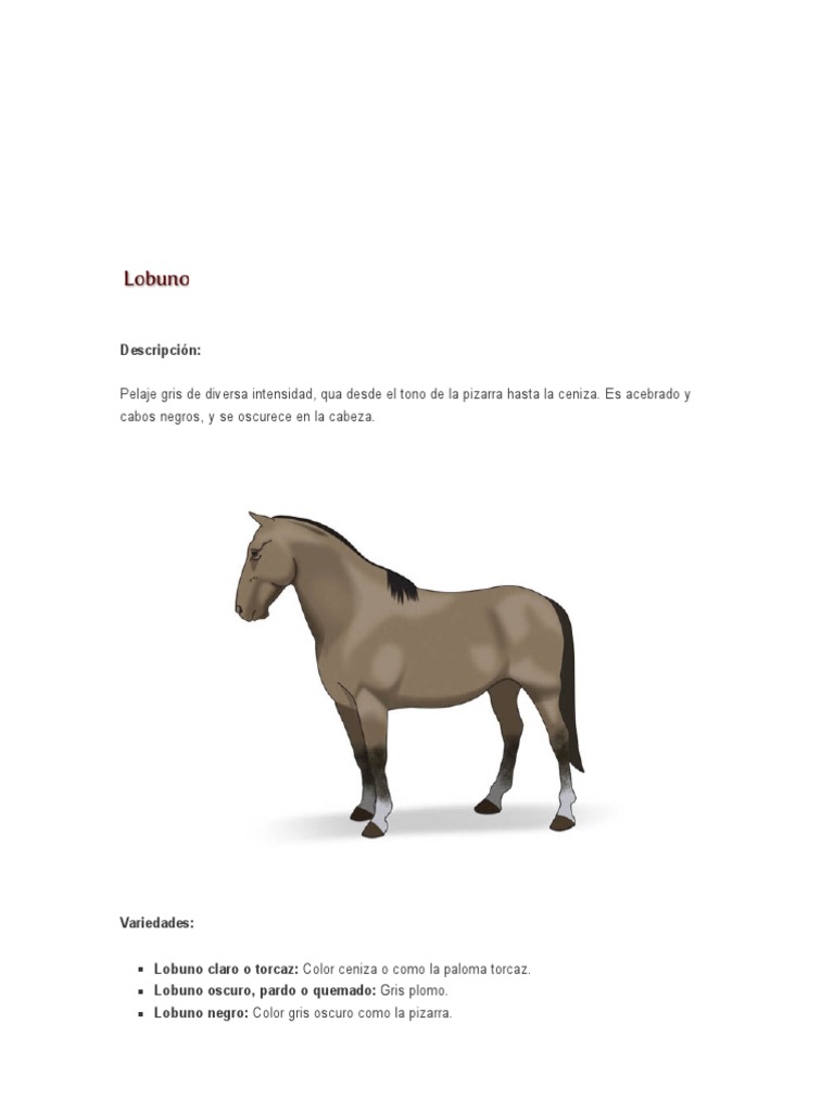 Características del pelaje lobuno en caballos | PDF