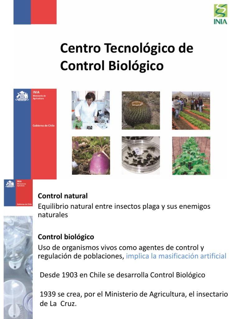 Control Biológico en Chile: Innovación y Desarrollo | PDF | Insectos ...