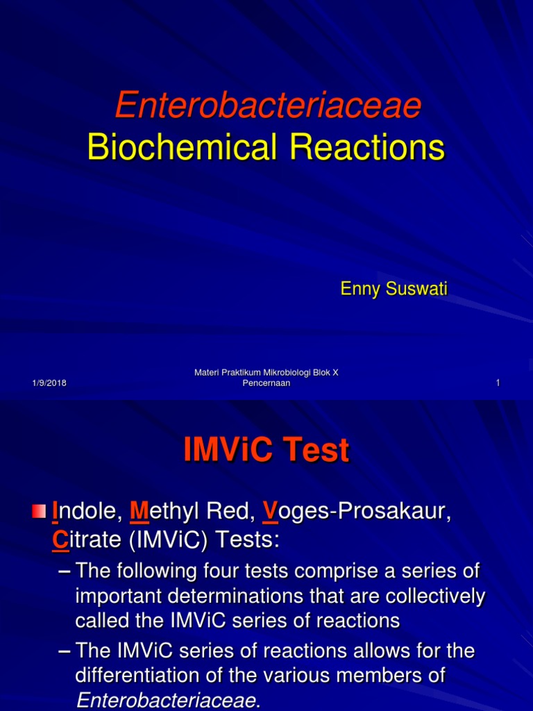 Enterobacteriaceae Biokimia Test | PDF | Science & Mathematics