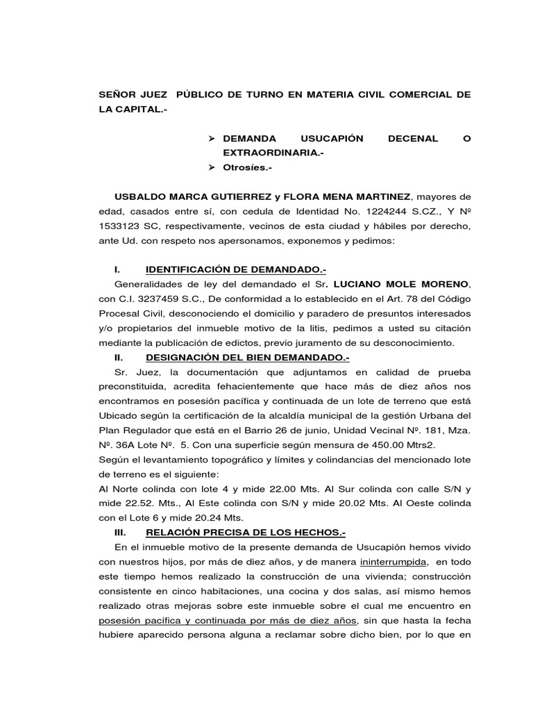 Modelo de Demanda | PDF | Demanda judicial | Posesión (Ley)