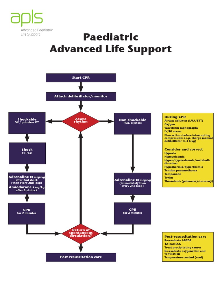 Algorithms - Paediatric Advanced Life Support PDF | PDF ...
