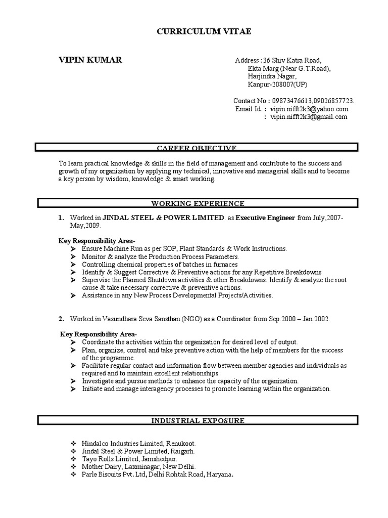 Vipin CV | PDF | Steel