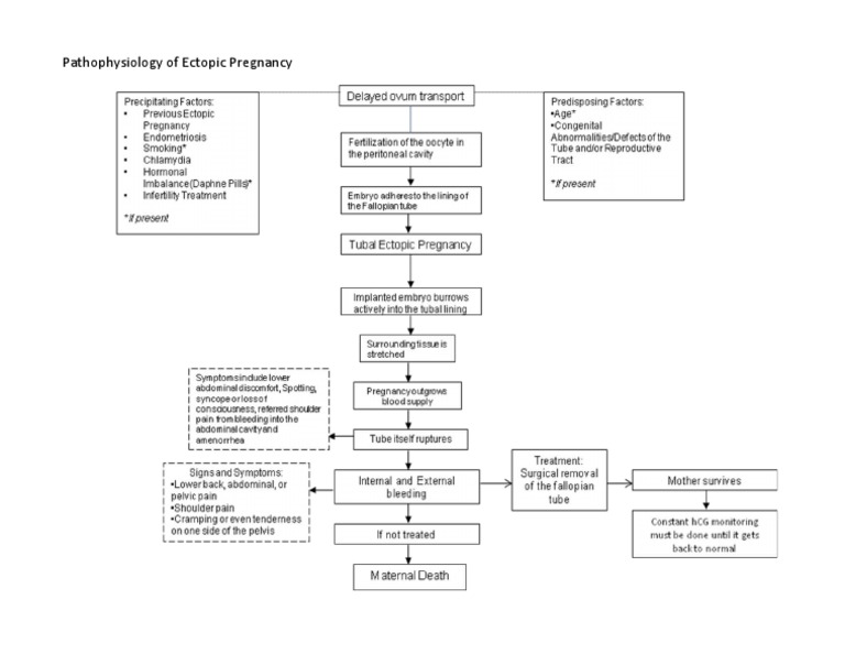 6 Pathophysiology | PDF
