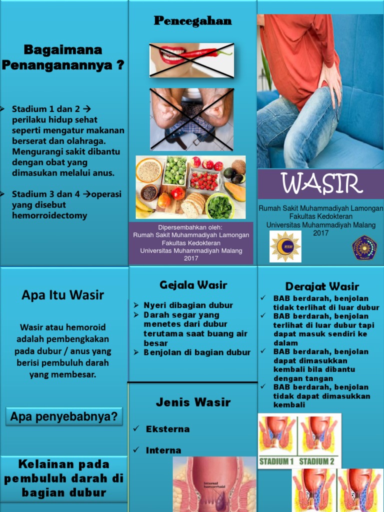 Leaflet Penyuluhan Hemorrhoid | PDF