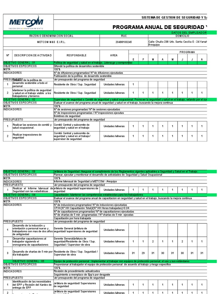 Programa Anual de Seguridad y Salud en El Trabajo - 2018 | Presupuesto | Minería