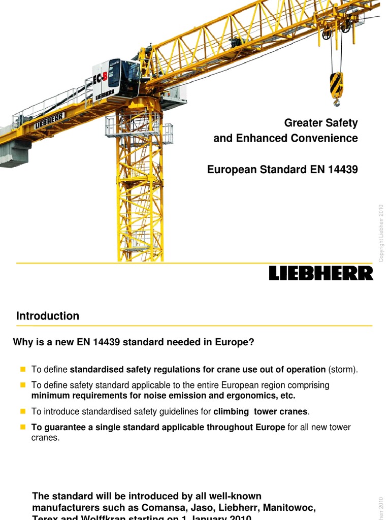 CC EN14439 en | PDF | Safety | Crane (Machine)
