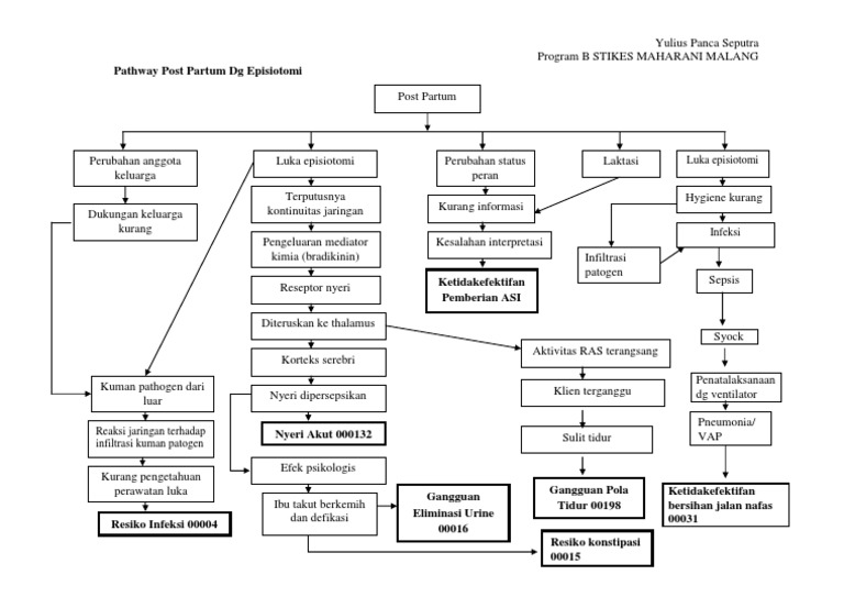 Pathway Post Partum dg Episiotomi | PDF