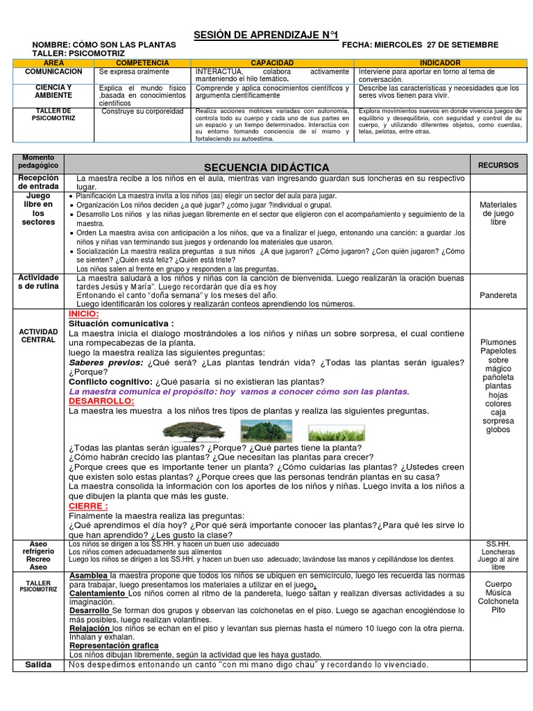Aprendiendo sobre las plantas en 4 años | PDF | Salón de clases ...