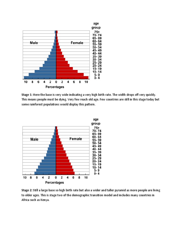 Demographic Transition Model Stages Explained | PDF