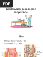 Espacio Subinguinal | PDF