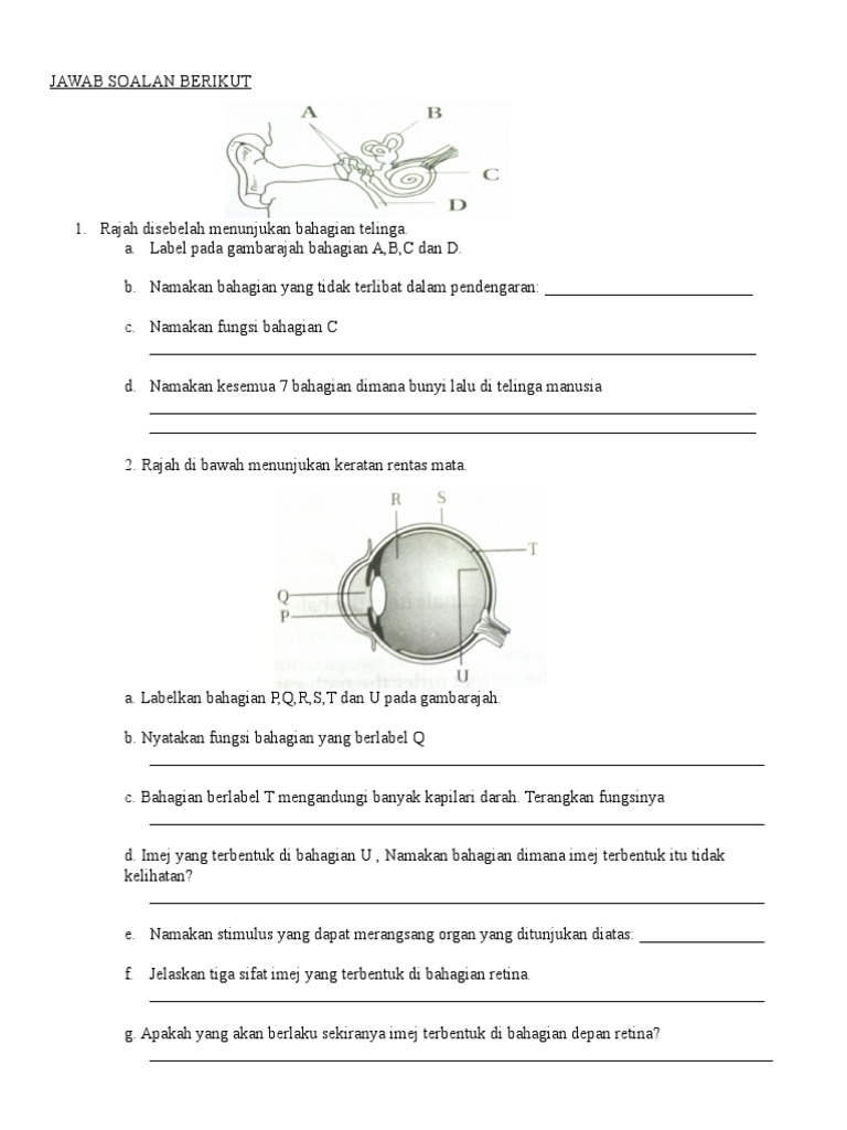 Latihan Sains Tingkatan 2 Bab Satu Pdf