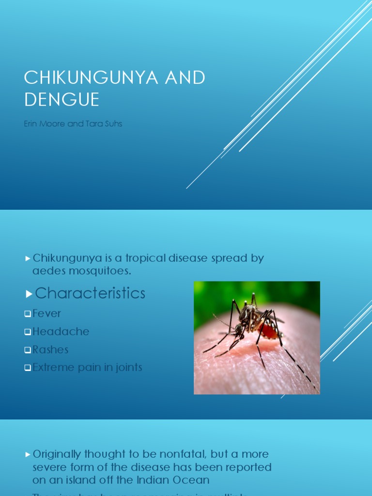 Chikungunya | PDF | Medical Humanities | Microbiology