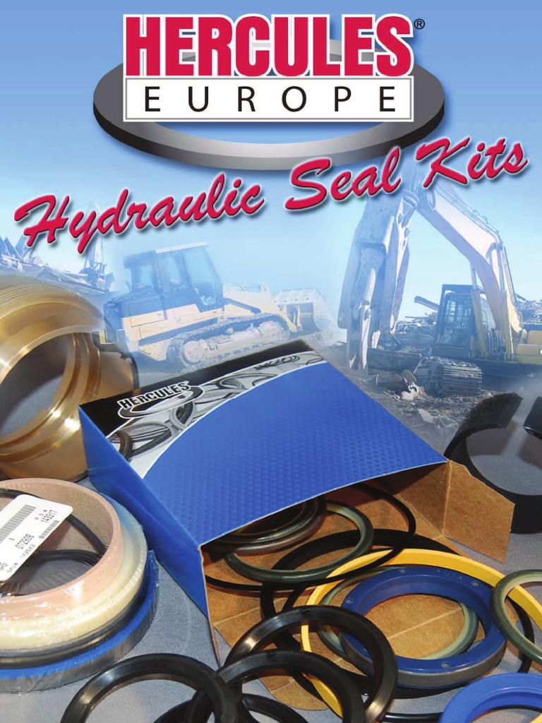 Hercules Europe rod seal specifications | PDF | Teaching Mathematics ...
