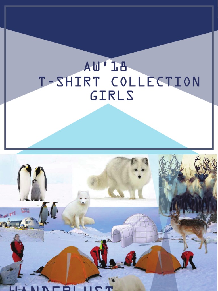 Aop Patterns and Graphic Tees | PDF