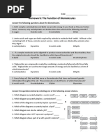 Nervous System Worksheet | PDF | Neuron | Axon