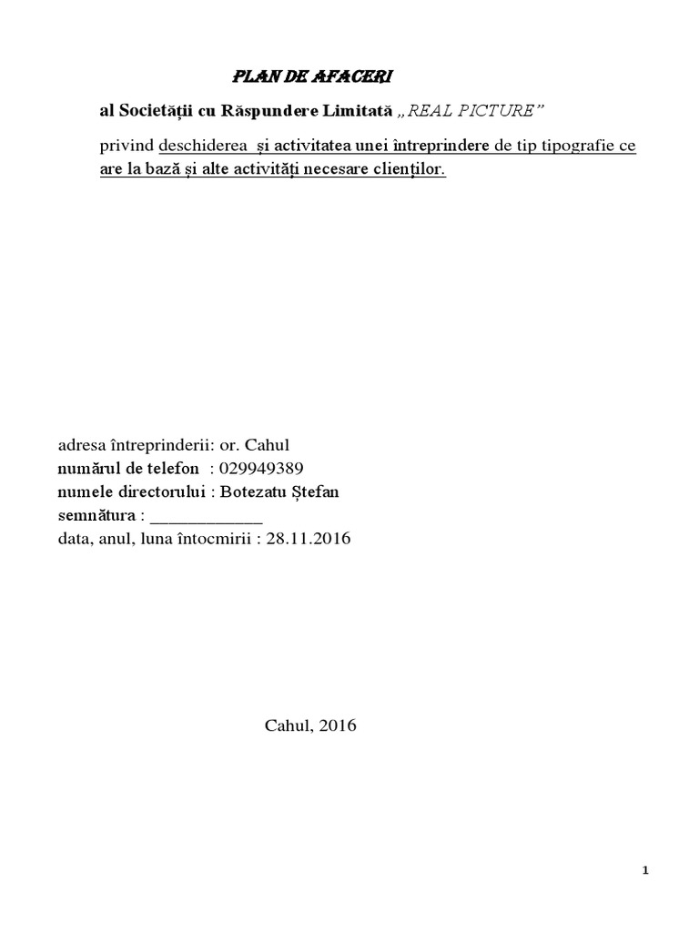 Plan de afaceri ( exemplu )
