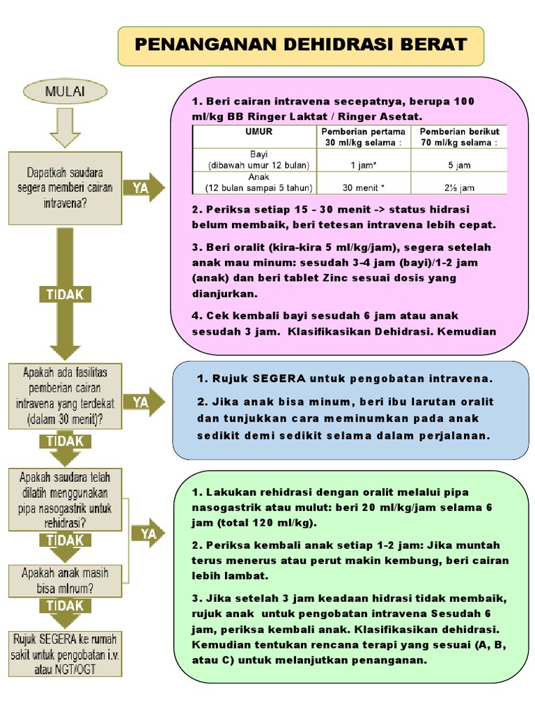 Tatalaksana Dehidrasi Berat | PDF