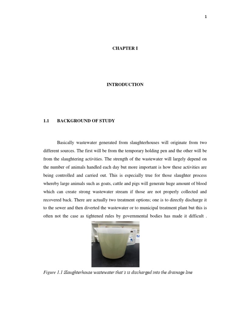 Figure 1.1 Slaughterhouse Wastewater That's Is Discharged Into The ...