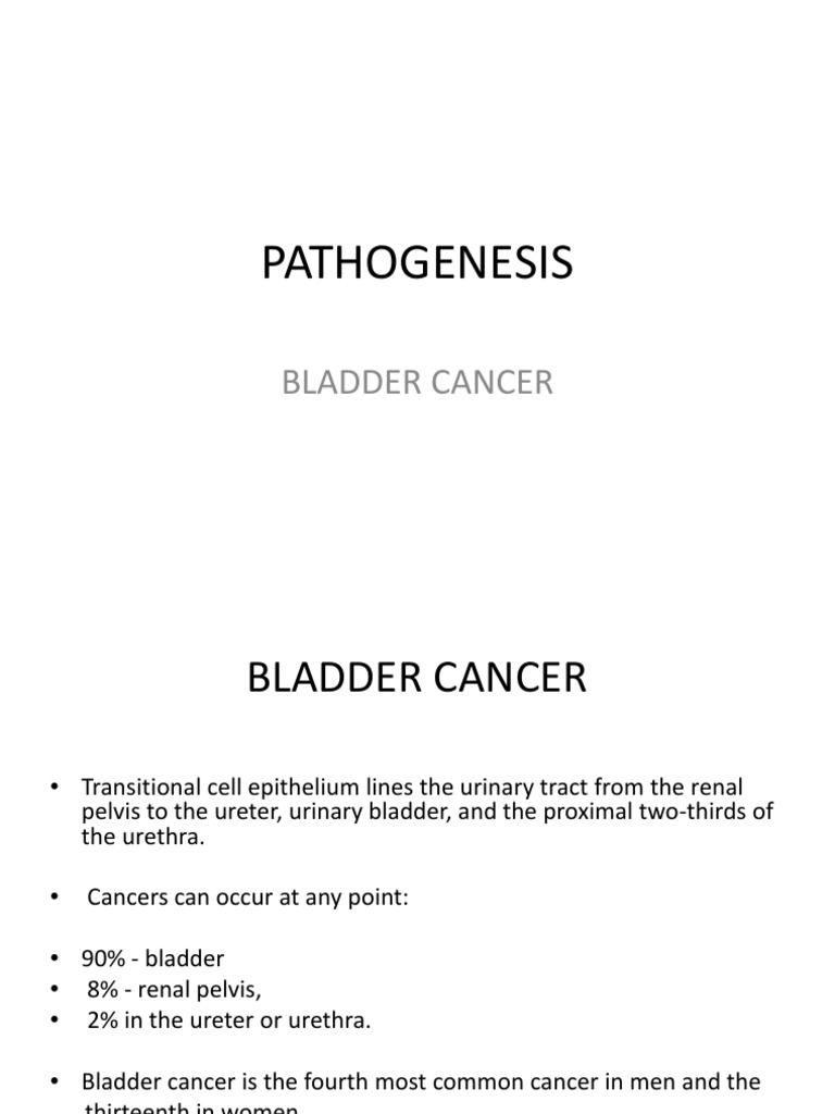 Pathogenesis Bladder CA | PDF | Cancer | Urinary Bladder