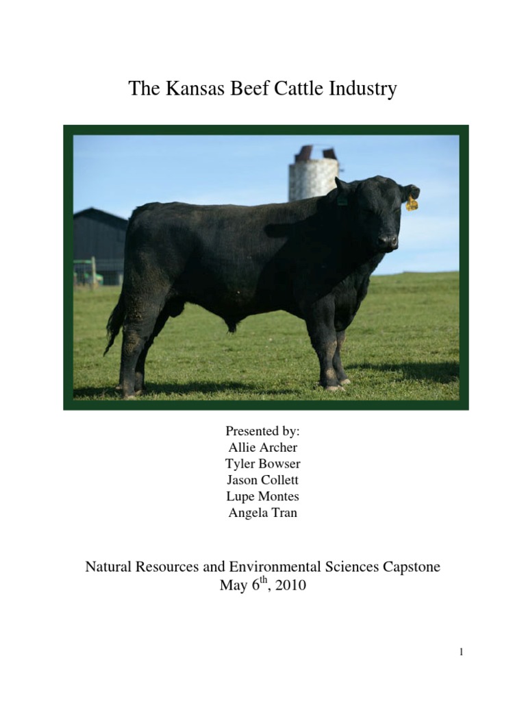 The Kansas Beef Cattle Industry: Natural Resources and Environmental ...