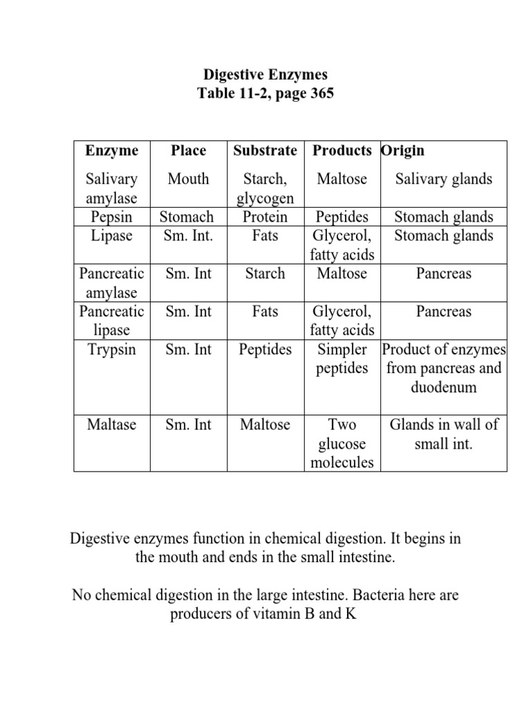 Digestive Enzyme Table | PDF