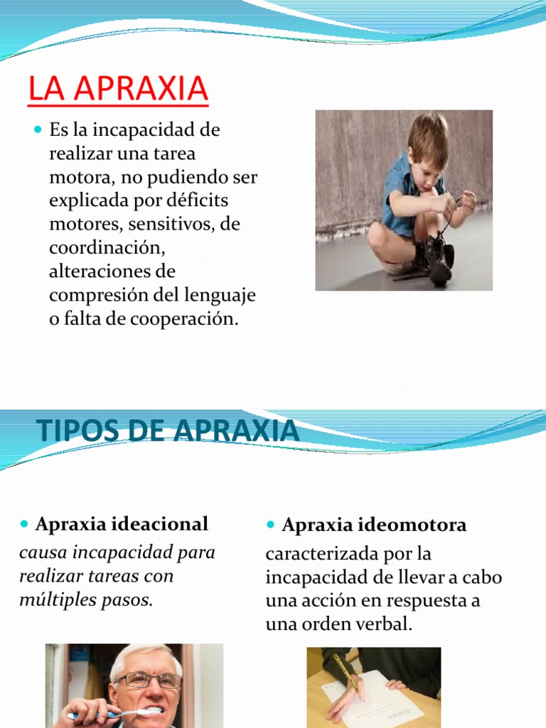 Exp Apraxia | PDF | Cerebro | Medicina CLINICA