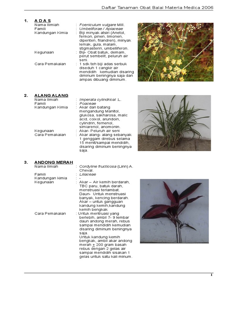 Kata Log Tana Man | PDF