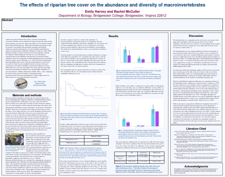 Final Ecology Poster | PDF | Riparian Zone | River