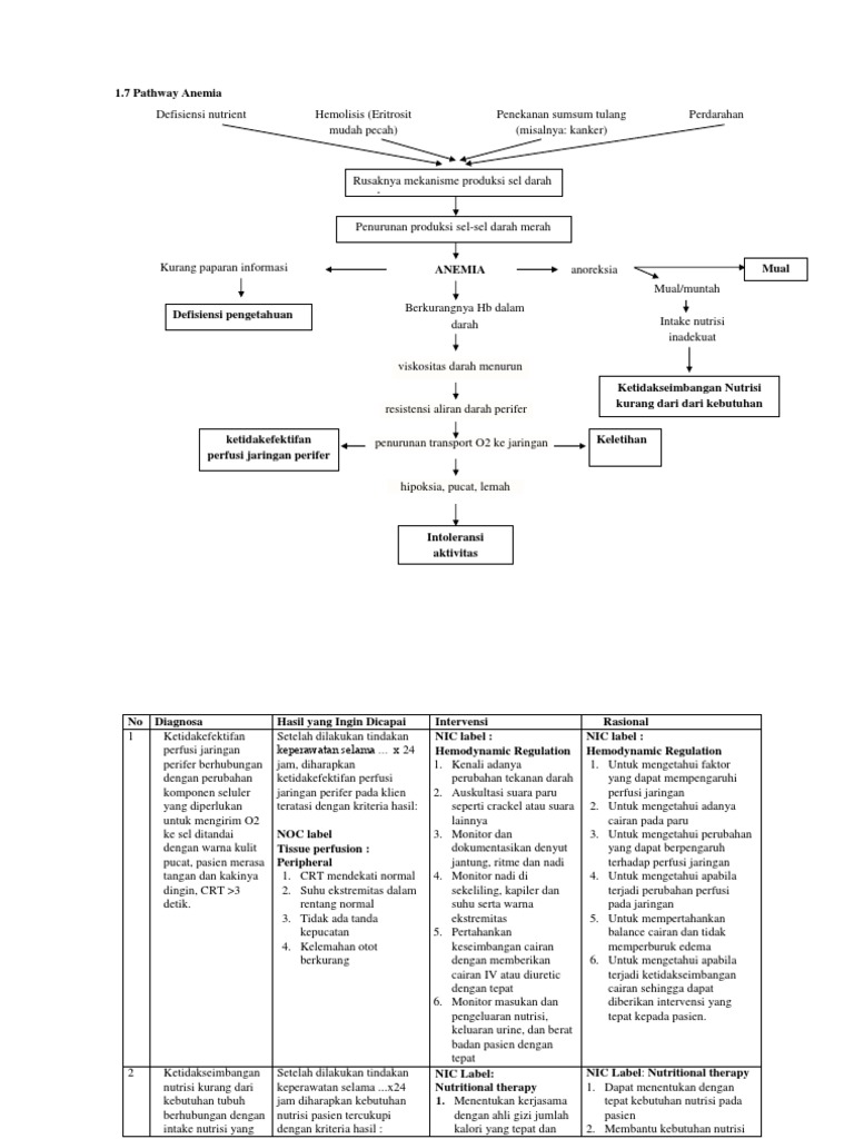Pathway Anemia | PDF