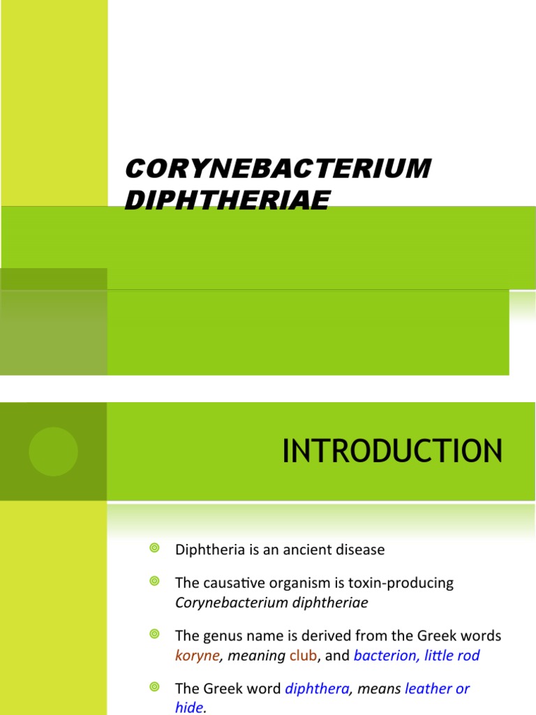 Corynebacterium Diphtheriae | PDF | Clinical Medicine | Microbiology