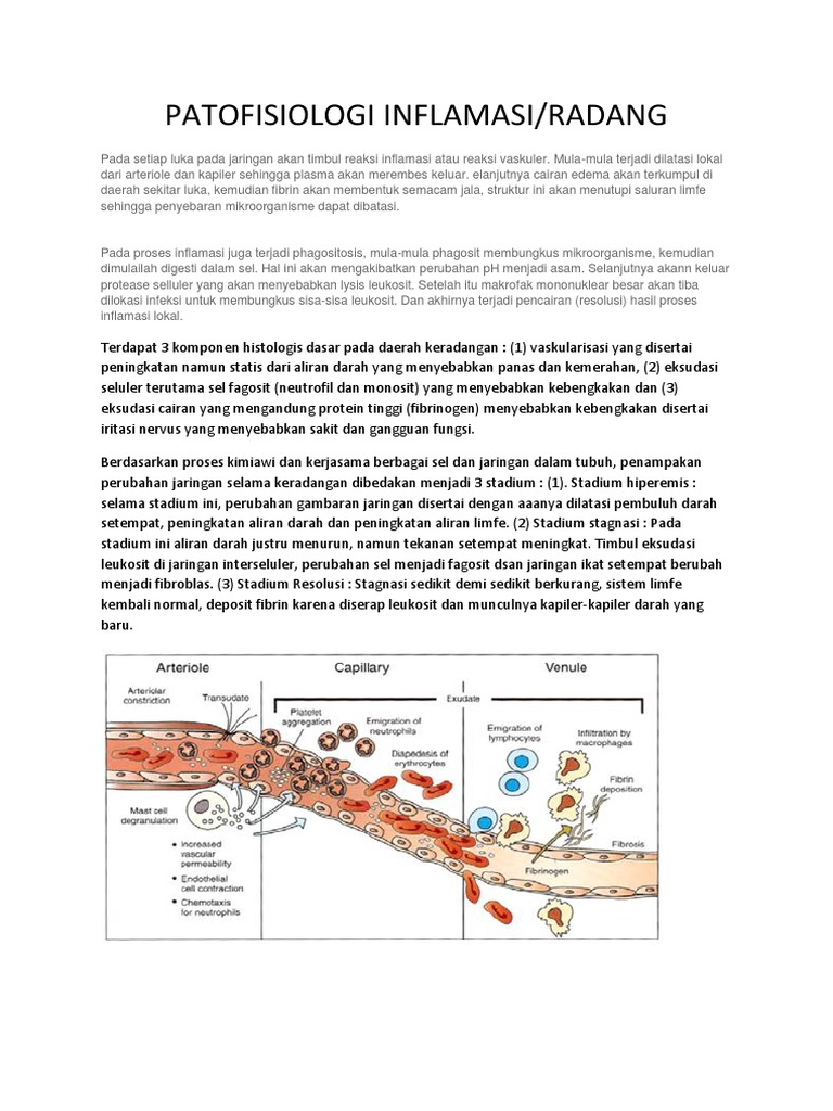 Patofisiologi Inflamasi | PDF