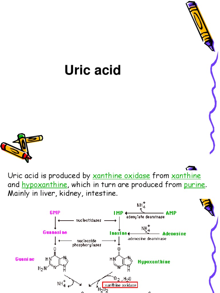 Uric Acid | PDF | Gout | Medical Specialties