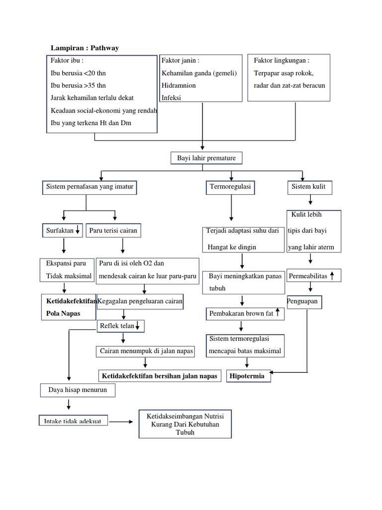 Pathway Prematur | PDF